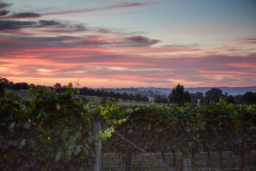 SOUMAH Final Sunset Session For 2025 – Yarra Valley Smaller Wineries