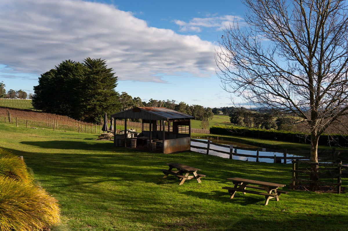 Shaun Black is Back at Payne's Rise – Yarra Valley Smaller Wineries